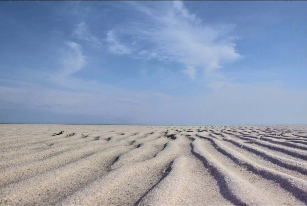 Cape Cod Fly Fishing Guide Trips & Lessonss